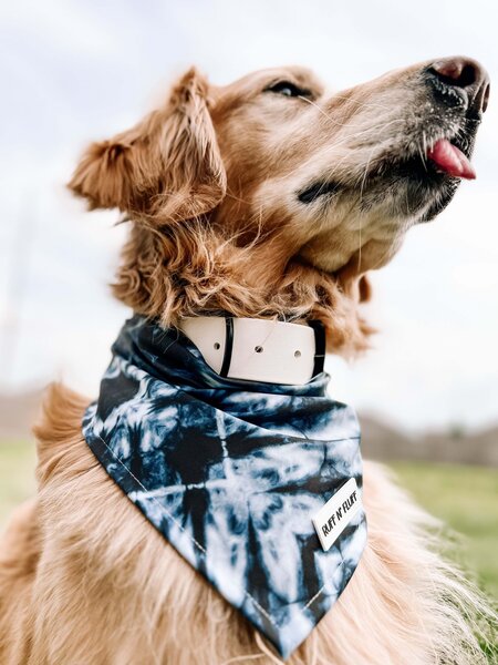 Ruff N’ Fluff Co. - 1.5 Inch Adventure Proof Collar - Military & First ...